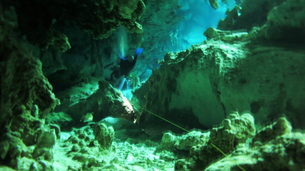 Cenote Diving in Tulum Mexico - STINGY NOMADS