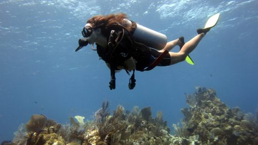 The Complete Guide to Dive Roatan - STINGY NOMADS