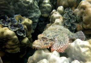 Pulau Weh island guide. Indonesia off the beaten track - STINGY NOMADS