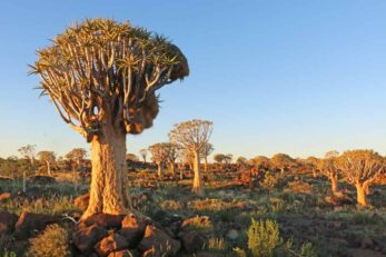 Amazing campsites in Namibia - best camping spots - STINGY NOMADS