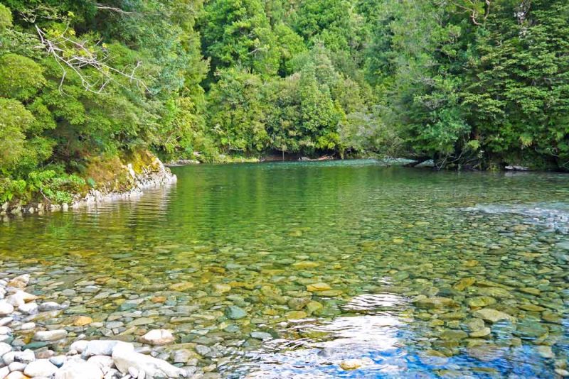 Pumalin Park, Patagonia - a 2024 visitor's guide - STINGY NOMADS