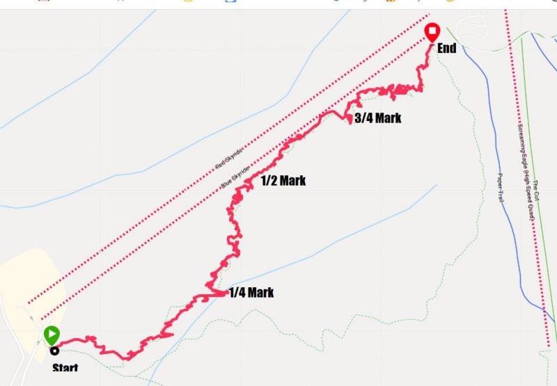 Grouse Grind Trail - Hiking to the Peak of Vancouver 2023 - STINGY NOMADS
