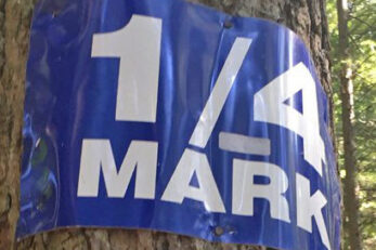 Grouse Grind Trail - Hiking to the Peak of Vancouver 2023 - STINGY NOMADS