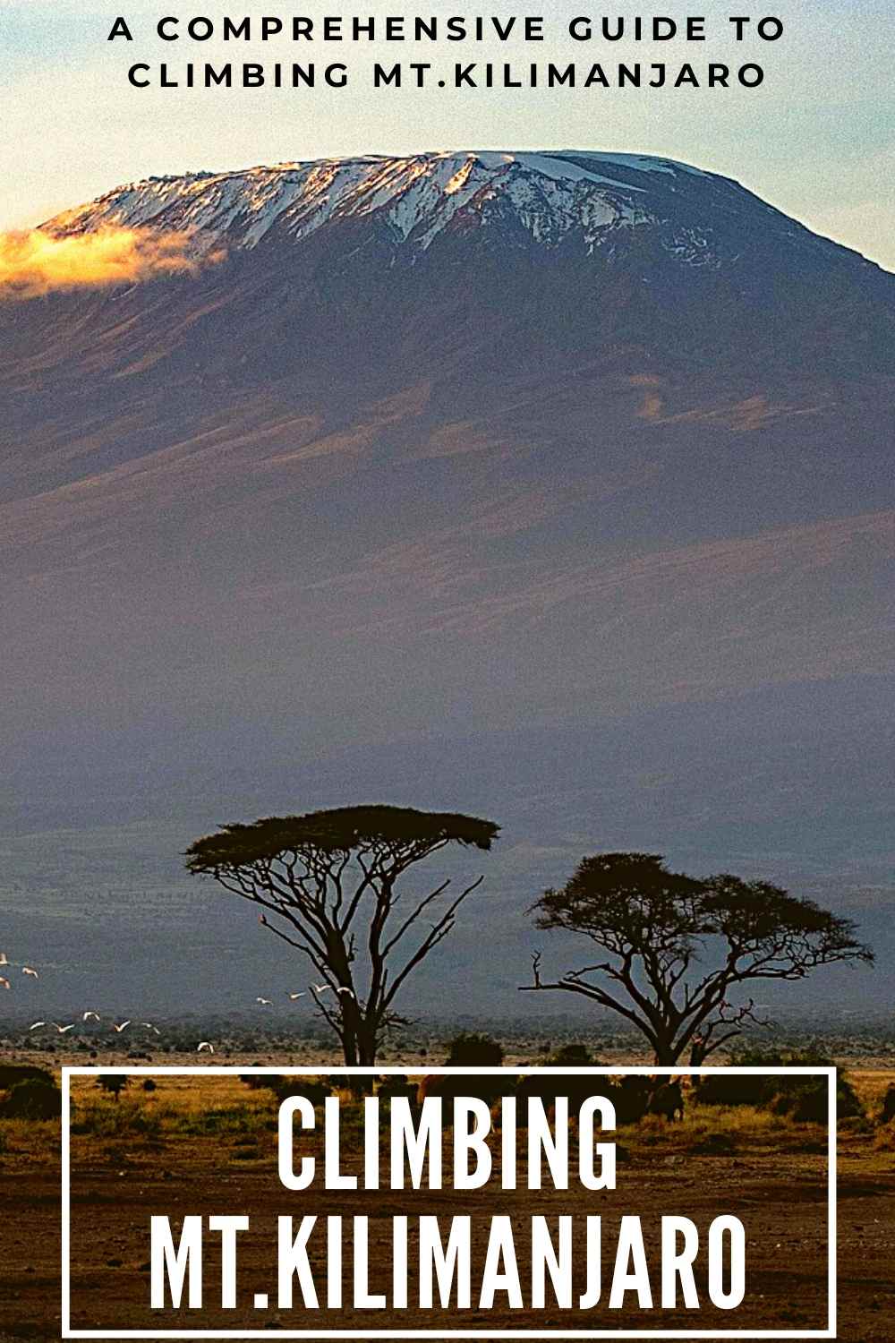 Climbing Mount Kilimanjaro Cost and Complete Guide - STINGY NOMADS