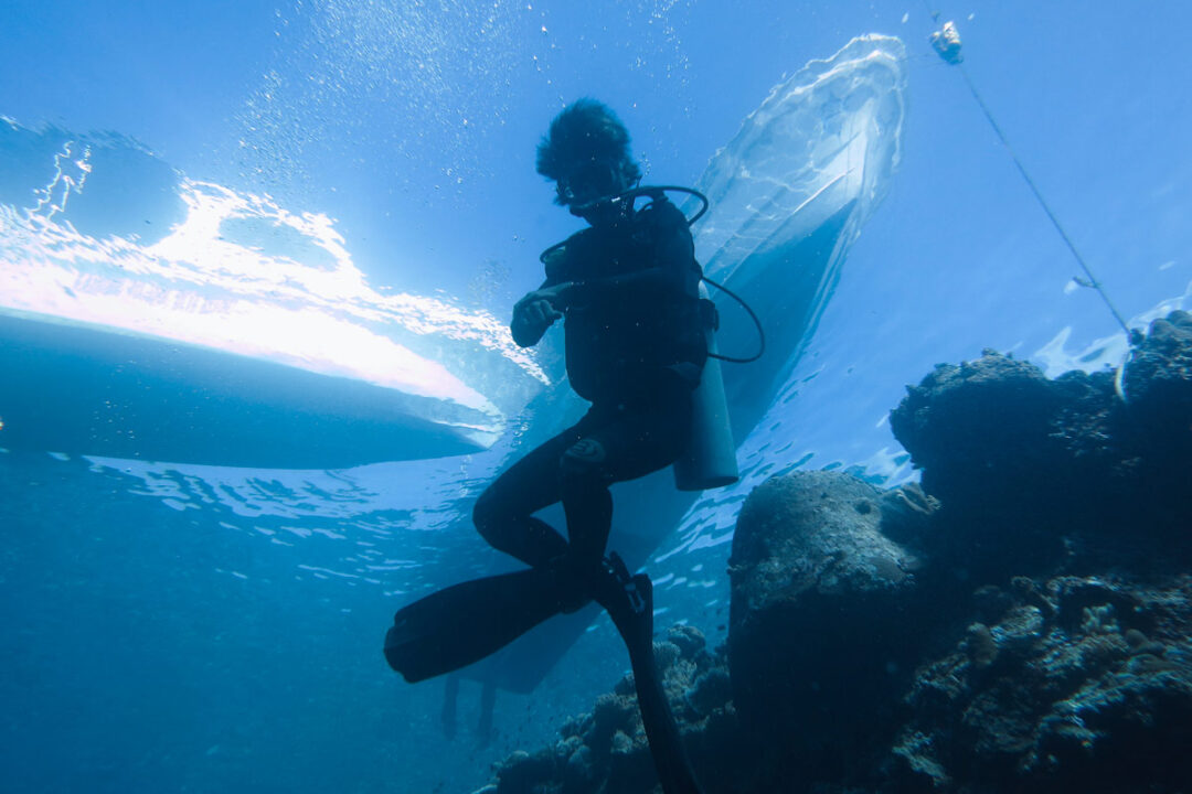 The Togian Islands Complete Travel and Dive Guide - STINGY NOMADS