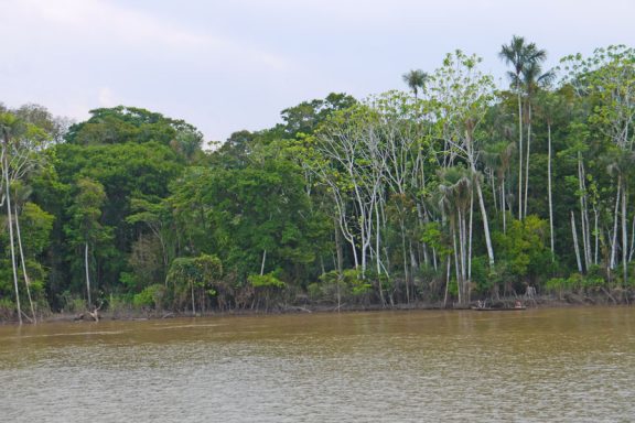 Amazon boat trip by slow boat - STINGY NOMADS