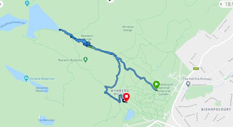 Table Mountain hiking trails - 6 amazing routes - STINGY NOMADS
