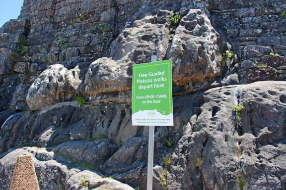 Table Mountain hiking trails - 6 amazing routes - STINGY NOMADS