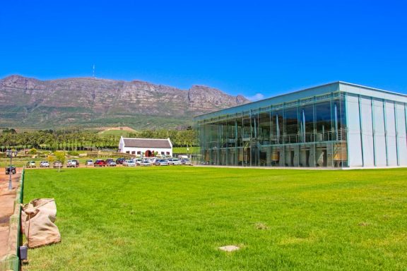 The Top Farms to Visit on the Constantia Wine Route 2024 - STINGY NOMADS