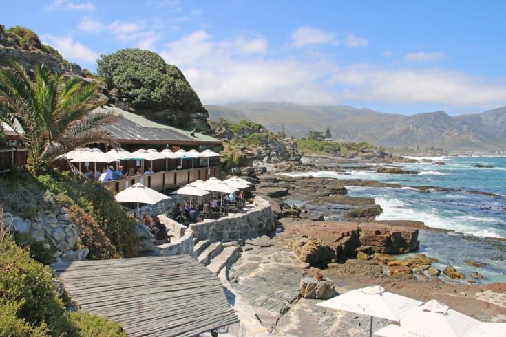 Best Activities and Things to Do in Hermanus, 2023 - STINGY NOMADS