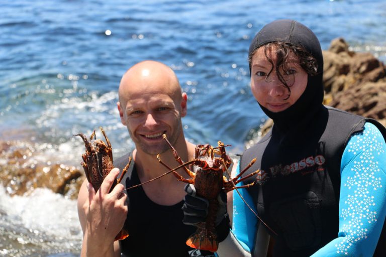 Best Activities and Things to Do in Hermanus, 2023 - STINGY NOMADS