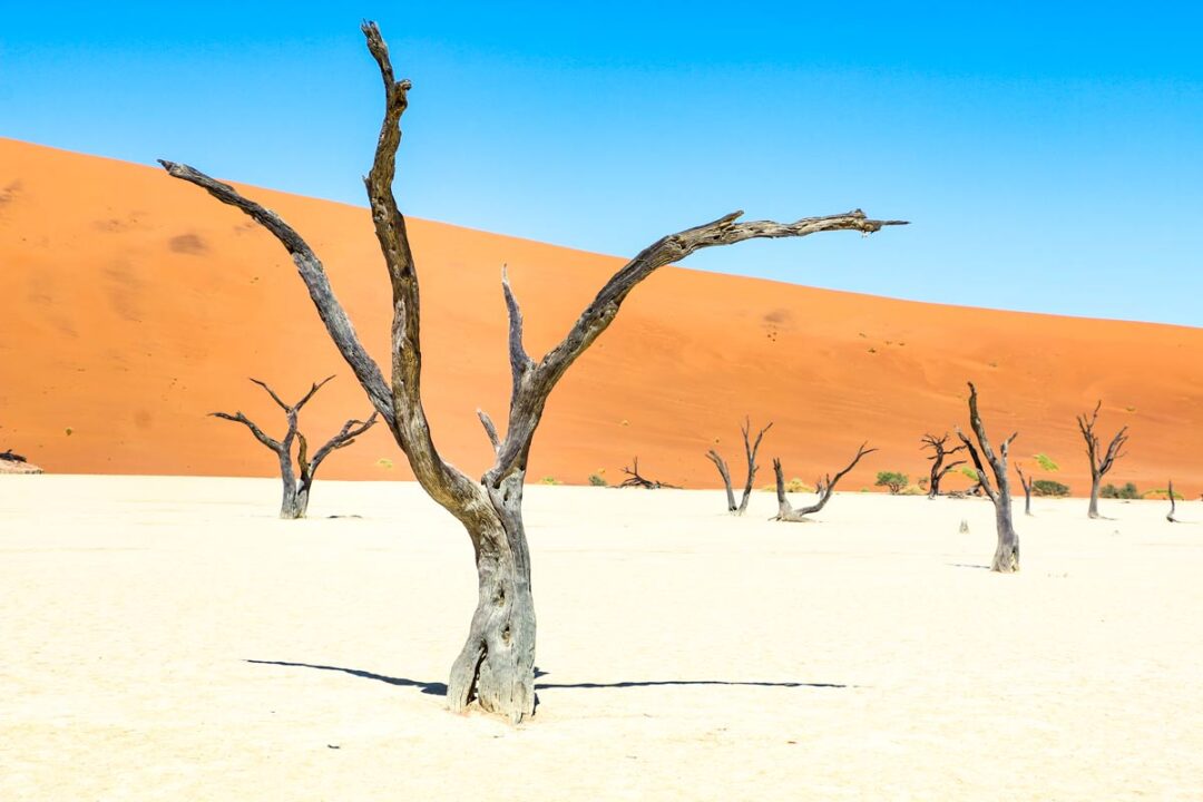 12 Incredible places to visit in Namibia in 2023