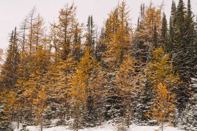Hiking Banff National Park, Canada - the Ultimate Guide - STINGY NOMADS