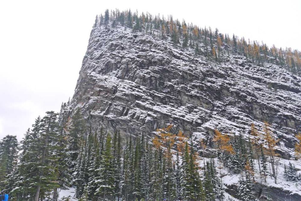 The Big Beehive Hike from Lake Louise near Banff 2023 - STINGY NOMADS