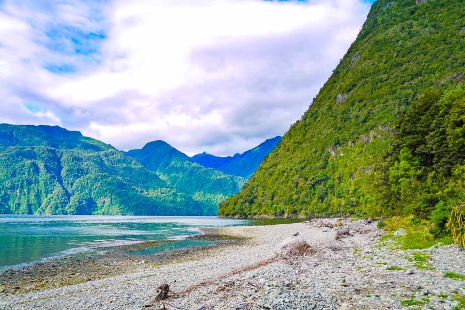 Pumalin Park, Patagonia - a 2024 visitor's guide - STINGY NOMADS