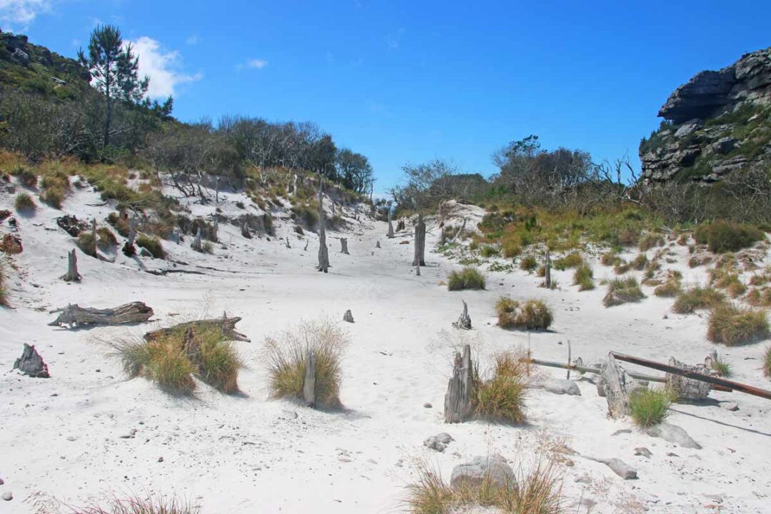Skeleton Gorge hike, Table Mountain - a 2023 guide - STINGY NOMADS