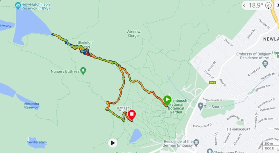 Skeleton Gorge hike, Table Mountain - a 2023 guide - STINGY NOMADS