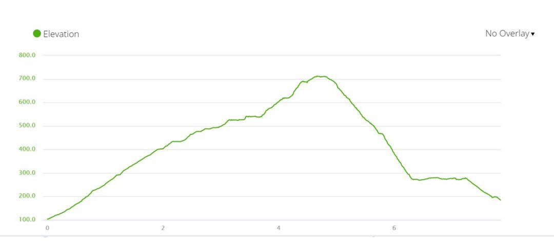 Skeleton Gorge hike, Table Mountain - a 2023 guide - STINGY NOMADS
