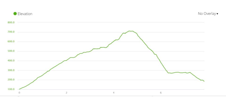 Skeleton Gorge hike, Table Mountain - a 2023 guide - STINGY NOMADS