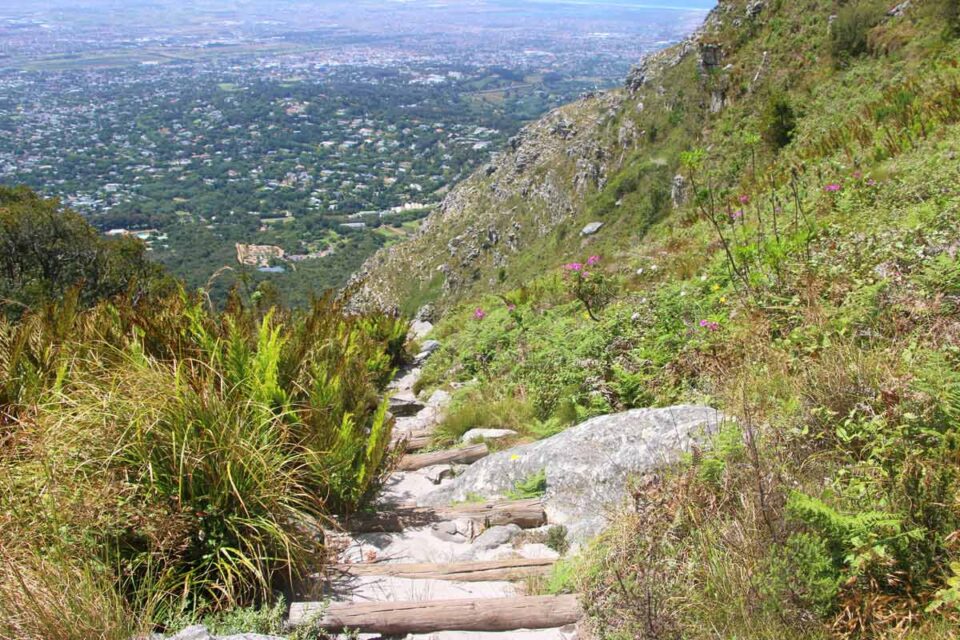Skeleton Gorge hike, Table Mountain - a 2023 guide - STINGY NOMADS