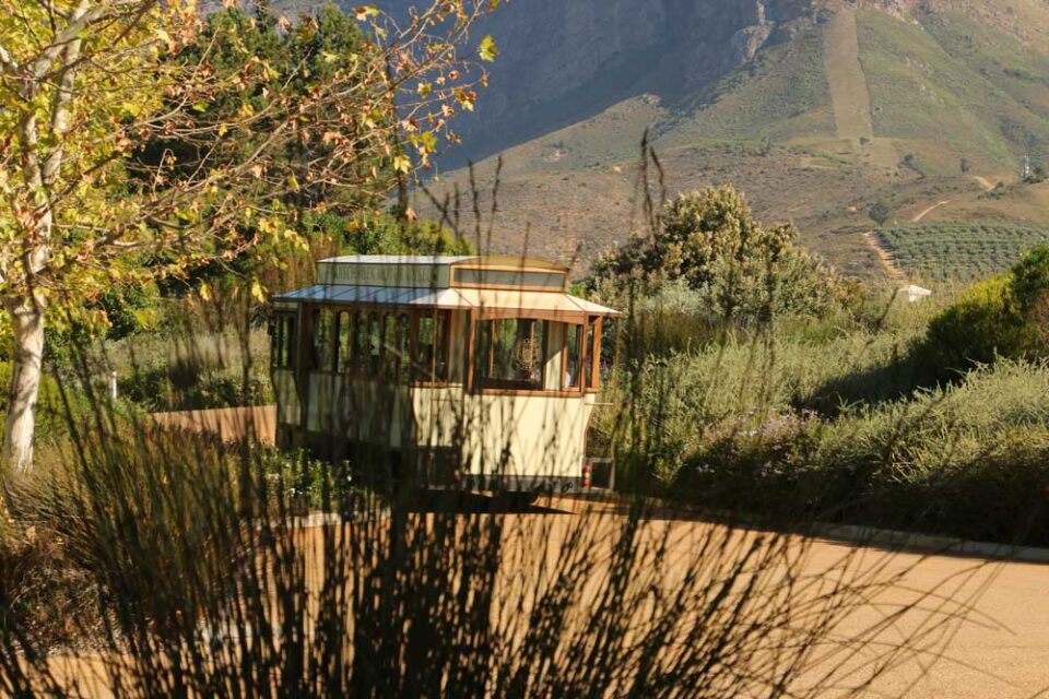 Franschhoek Wine Farms - Wine Tasting Guide - STINGY NOMADS