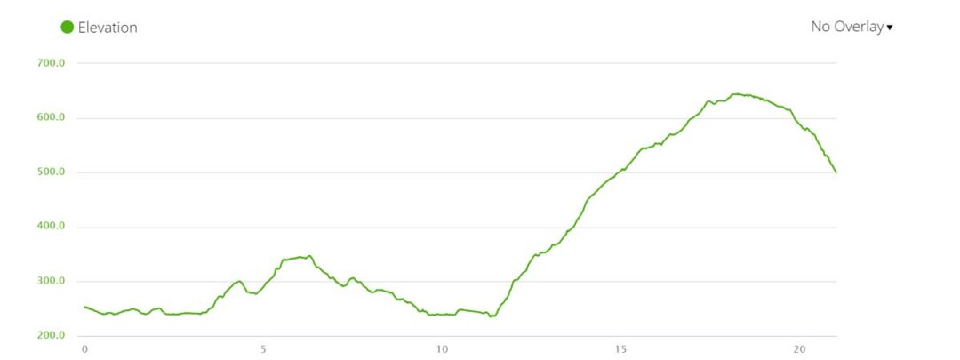 The Spiritual Variant of the Portuguese Camino de Santiago