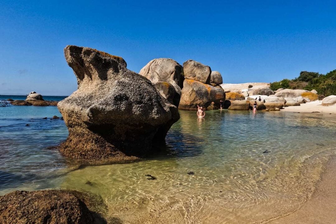 Visit the Penguins at Boulders Beach in Cape Town 2023 - STINGY NOMADS
