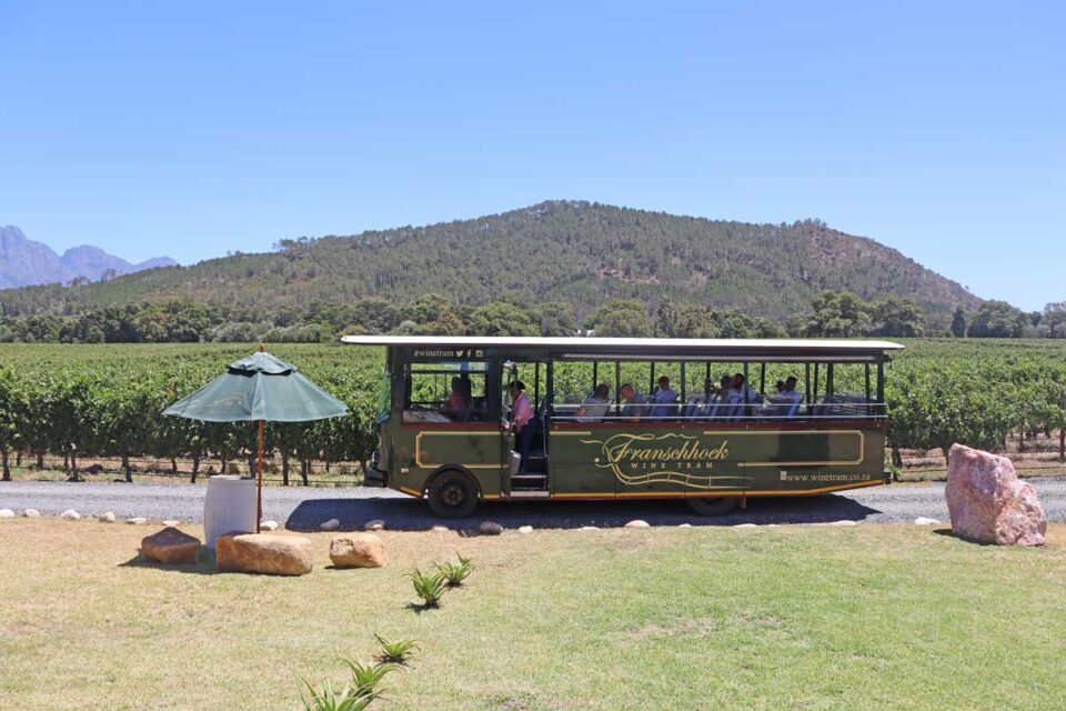 The Ultimate Franschhoek Wine Tram Route Guide 2024 - STINGY NOMADS