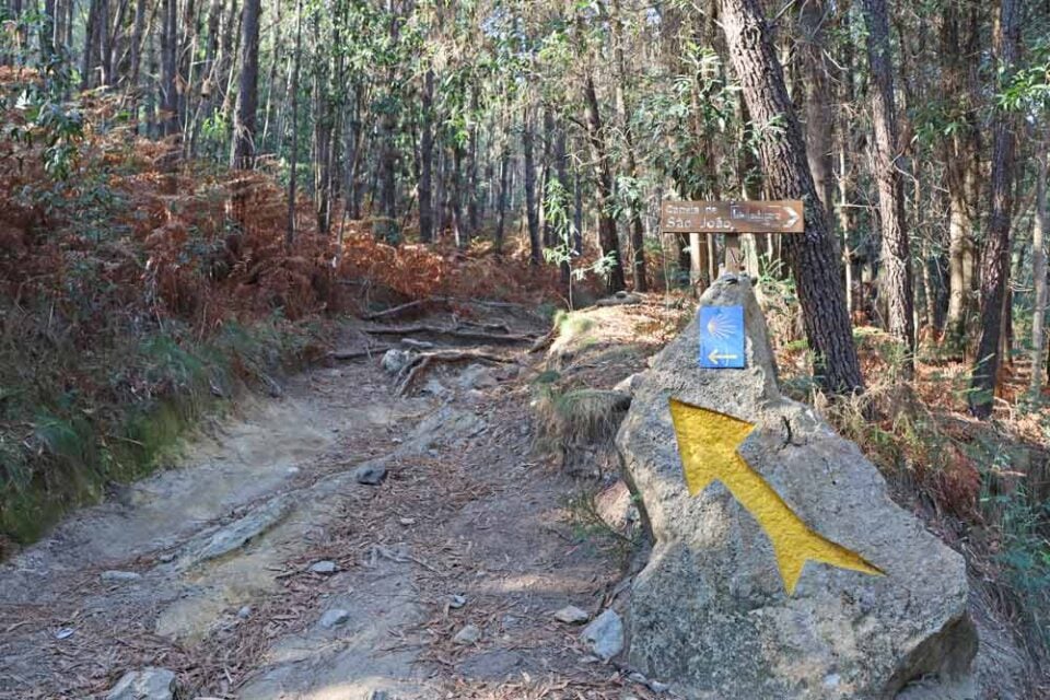 The Central Route of the Portuguese Camino a 2025 guide - STINGY NOMADS