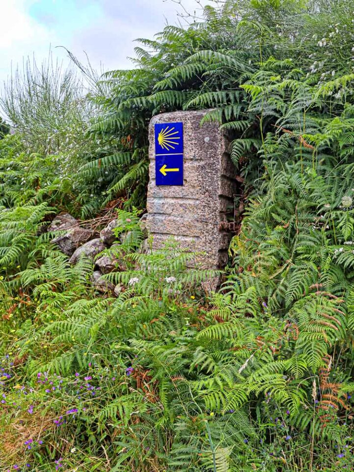 The Litoral Way vs Coastal Route of the Portuguese Camino - STINGY NOMADS