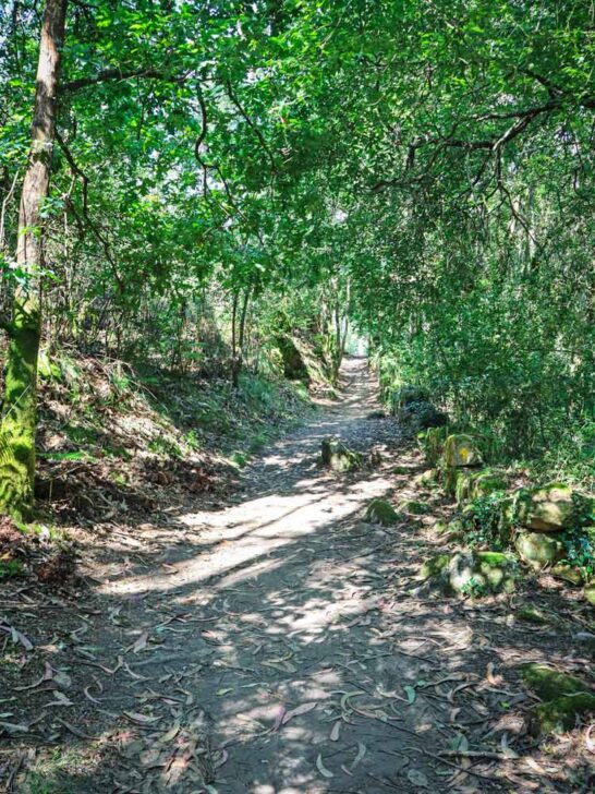 The Litoral Way vs Coastal Route of the Portuguese Camino - STINGY NOMADS