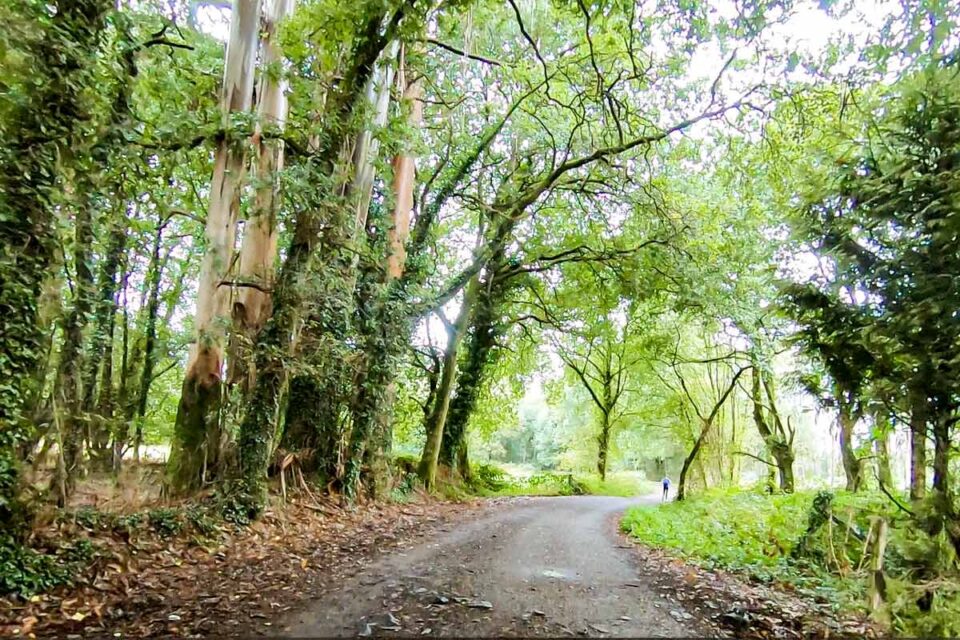 Camino de Santiago from Sarria - a 2025 guide - STINGY NOMADS