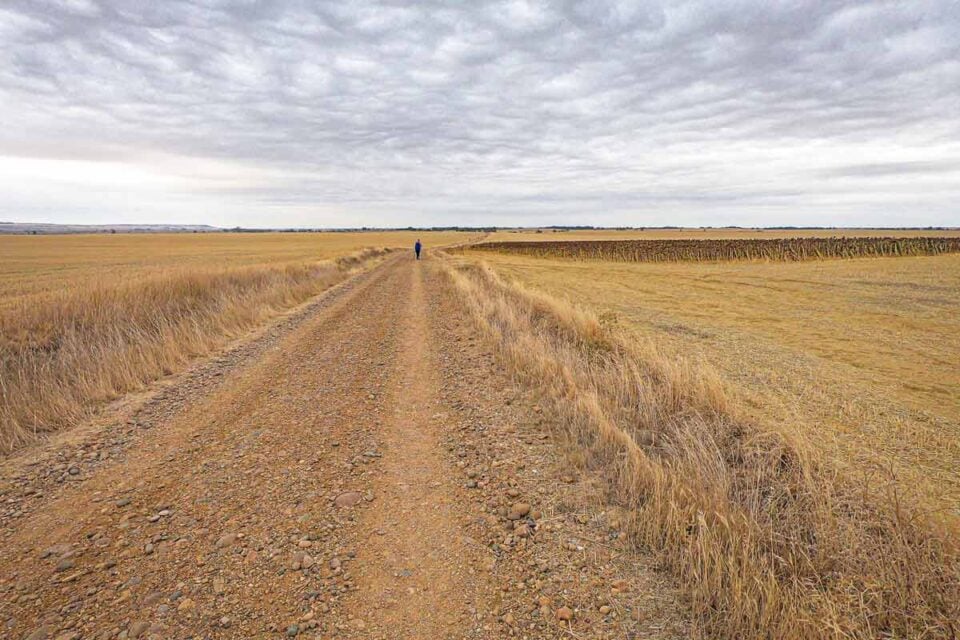 The French Camino de Santiago - your 2026 guide