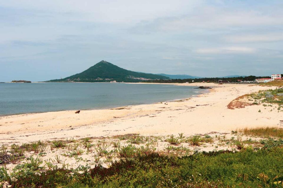 The Coastal and Central routes combined, Portuguese Camino - STINGY NOMADS
